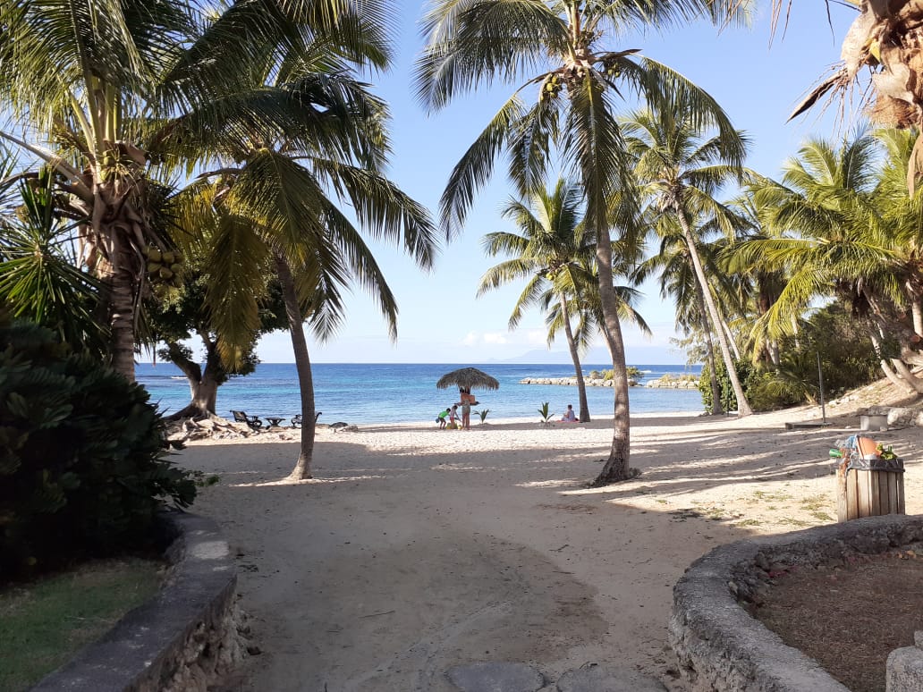 Anse des rochers en Guadeloupe - Anse des rochers - Guadeloupe